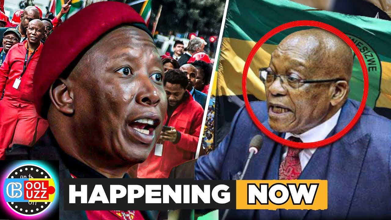 JULIUS MALEMA : Tell ZUMA That I Defeated Him Before and I Can Still Do ...