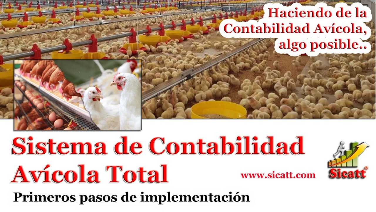 Sicatt : Primeros pasos de implementación - YouTube