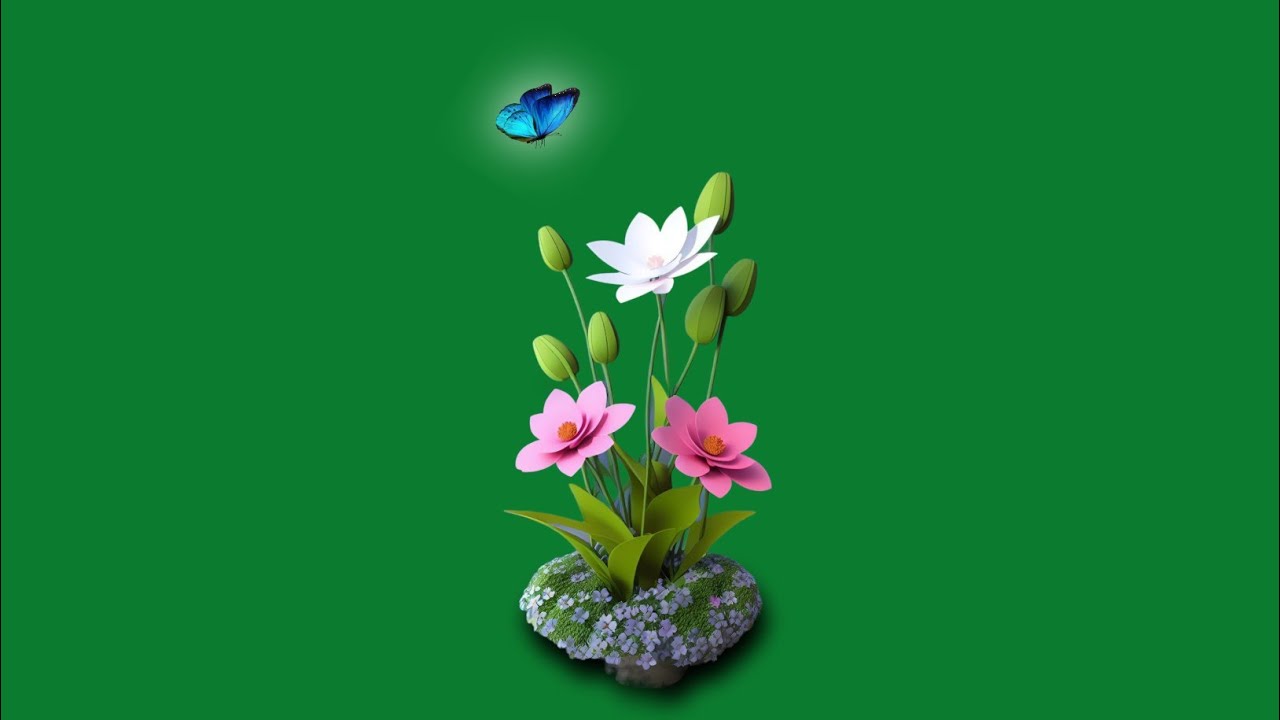 flower green screen no copyright | flower animation green screen ...