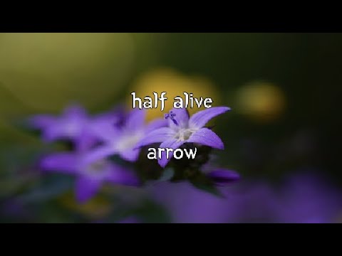 (한글 번역) half•alive - arrow - YouTube