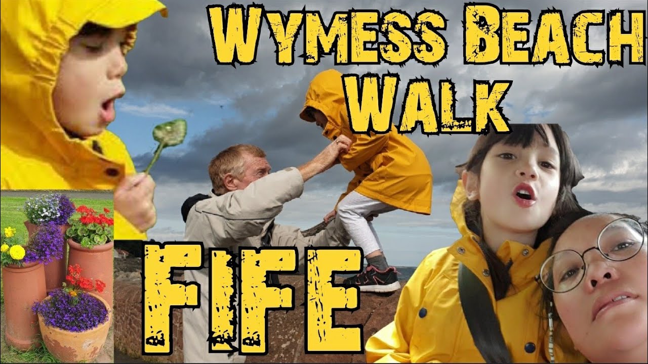 Walking at Wymes Beach, Fife Scotland UK - YouTube