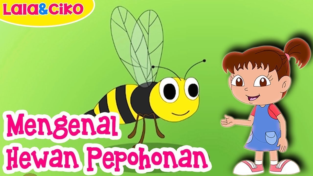 Mengenal Hewan yang Hidup di Pepohonan 1 | Lala dan Ciko | Kartun Anak Channel - YouTube