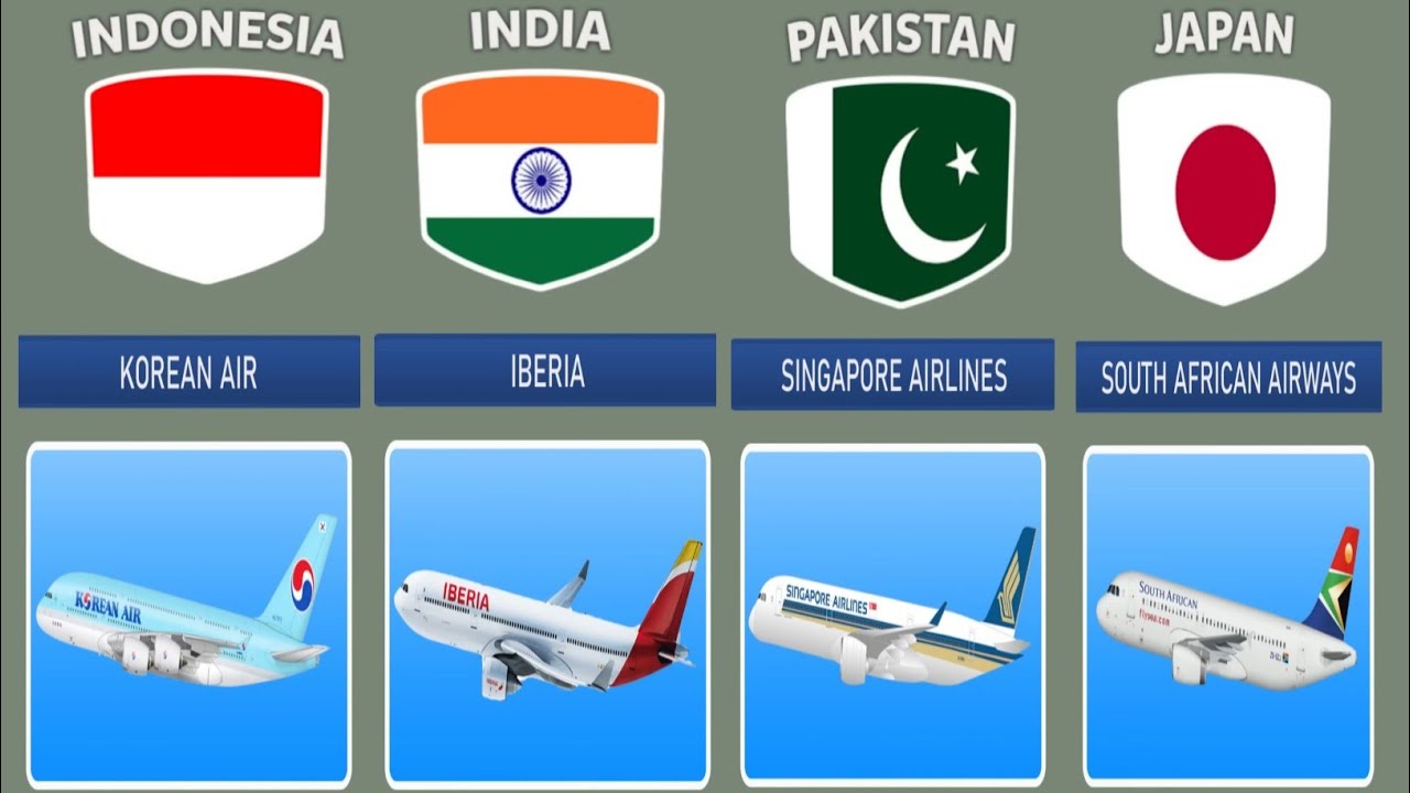 National airlines airplane form different country information ...