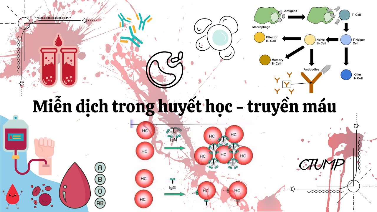[HUYẾT HỌC CƠ SỞ] - Bài 5: Miễn dịch trong huyết học - truyền máu ...
