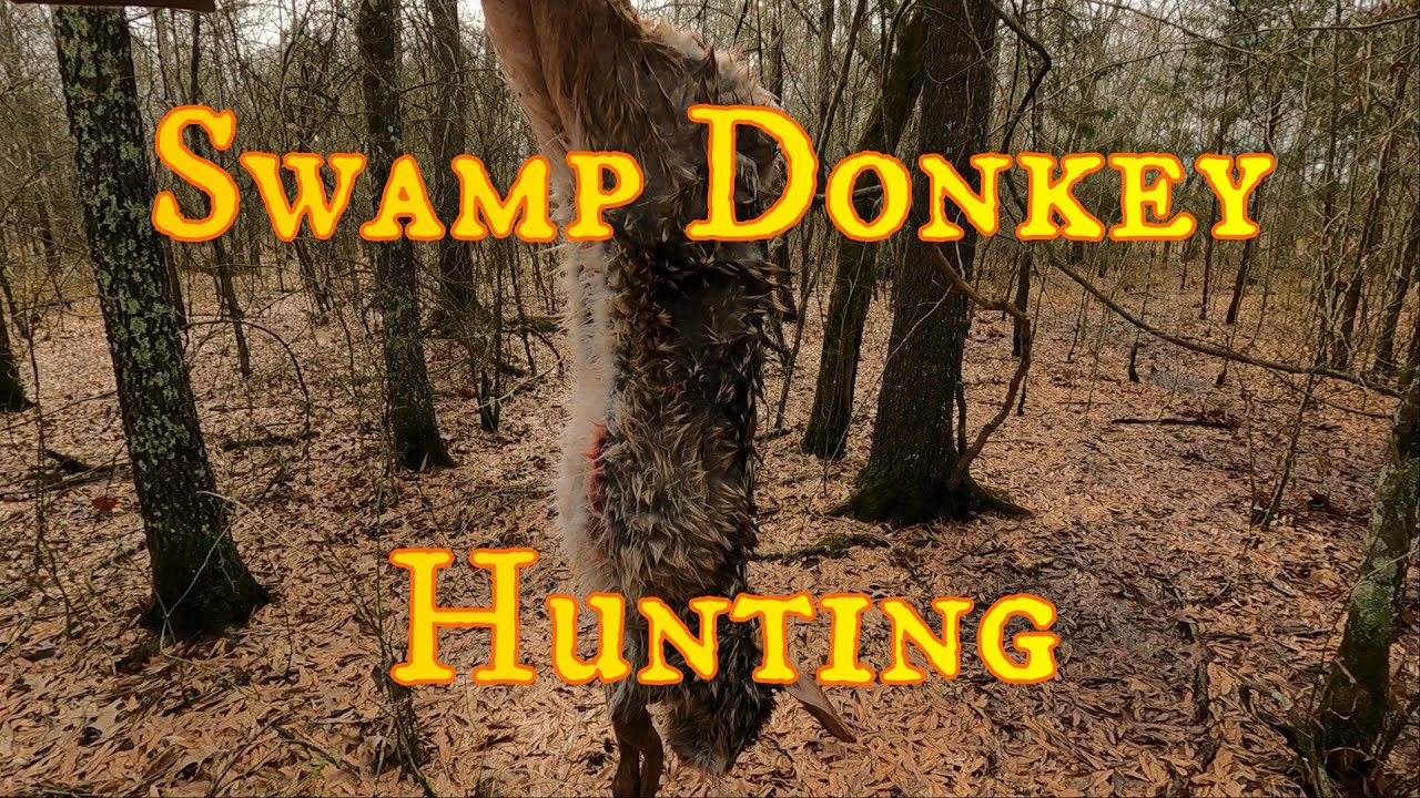 February 2023 Swamp Rabbit Hunt - YouTube