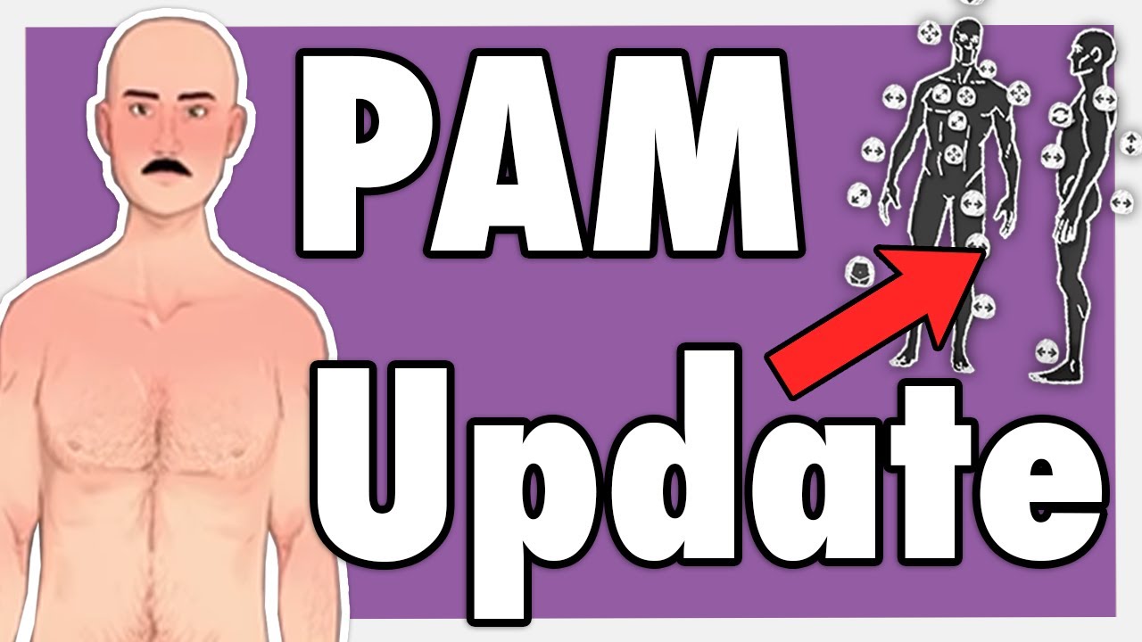 SLIDERS! | PAM Update | Paralives News - YouTube