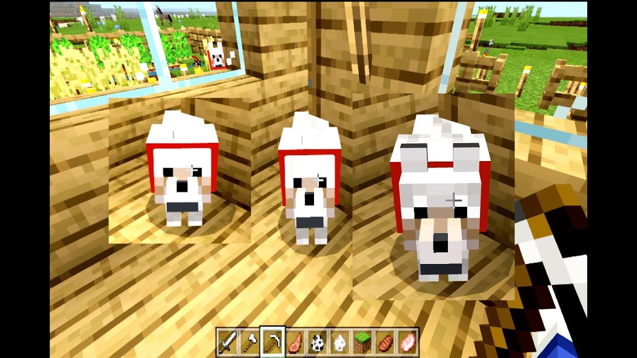 MINECRAFT VIDEO MY DOG IS TURNING RED - YouTube