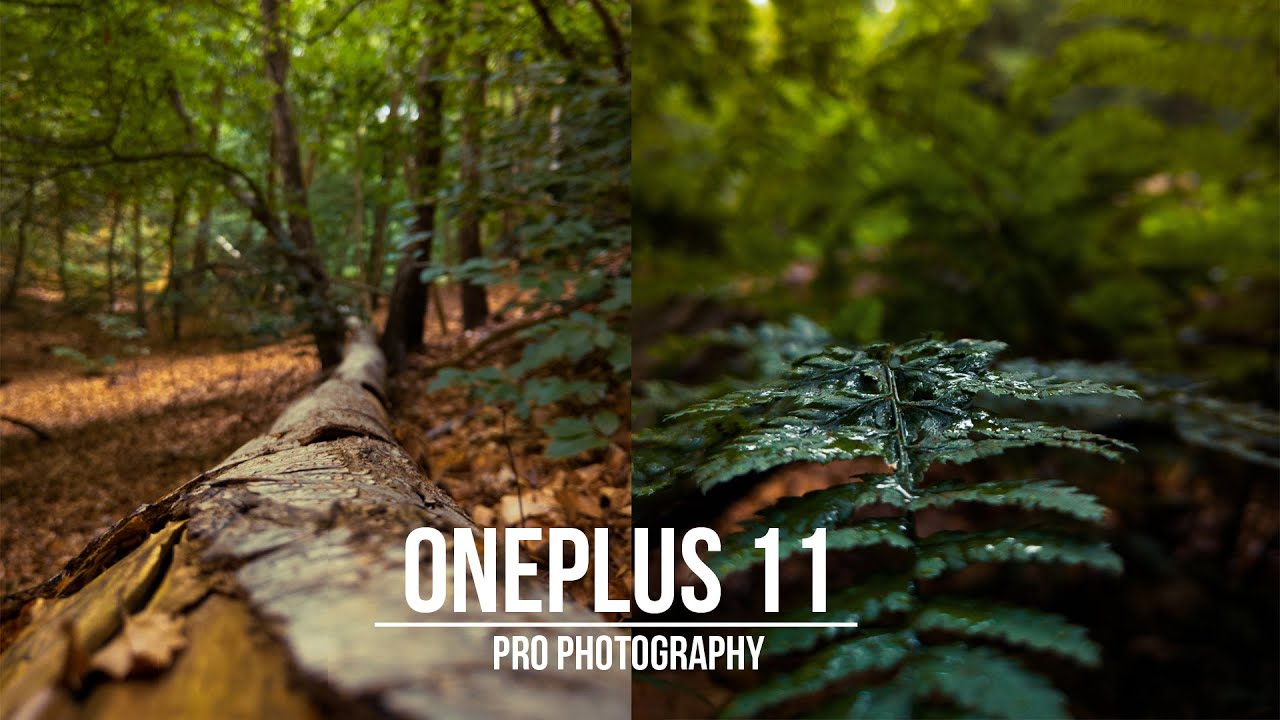 I used the full Power of the OnePlus 11's Camera! Big change!
