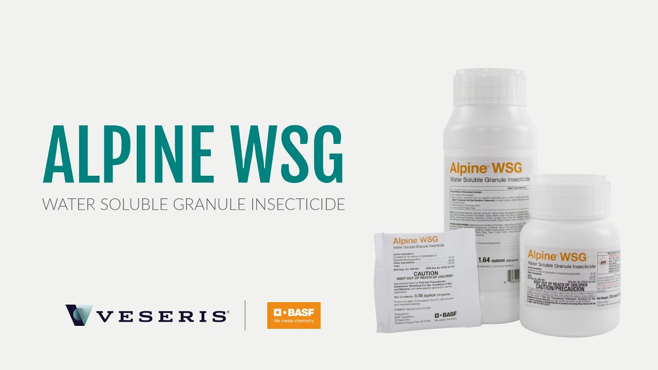 Alpine WSG - YouTube