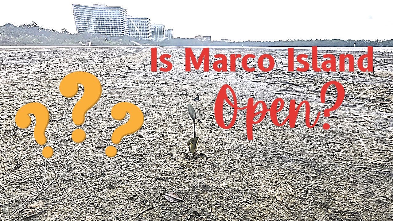 Marco Island Florida after Hurricane Ian October 2022 // Recovery ...