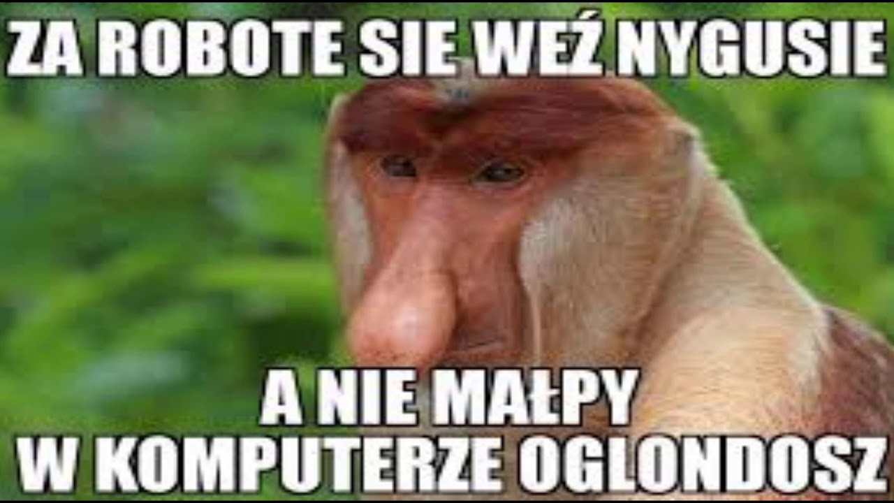 Janusz nosacz memy #2 - YouTube