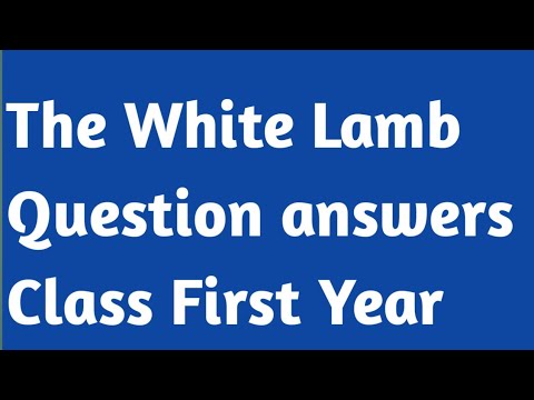 Lesson 9 || The White Lamb question answers || The white lamb Questions ...