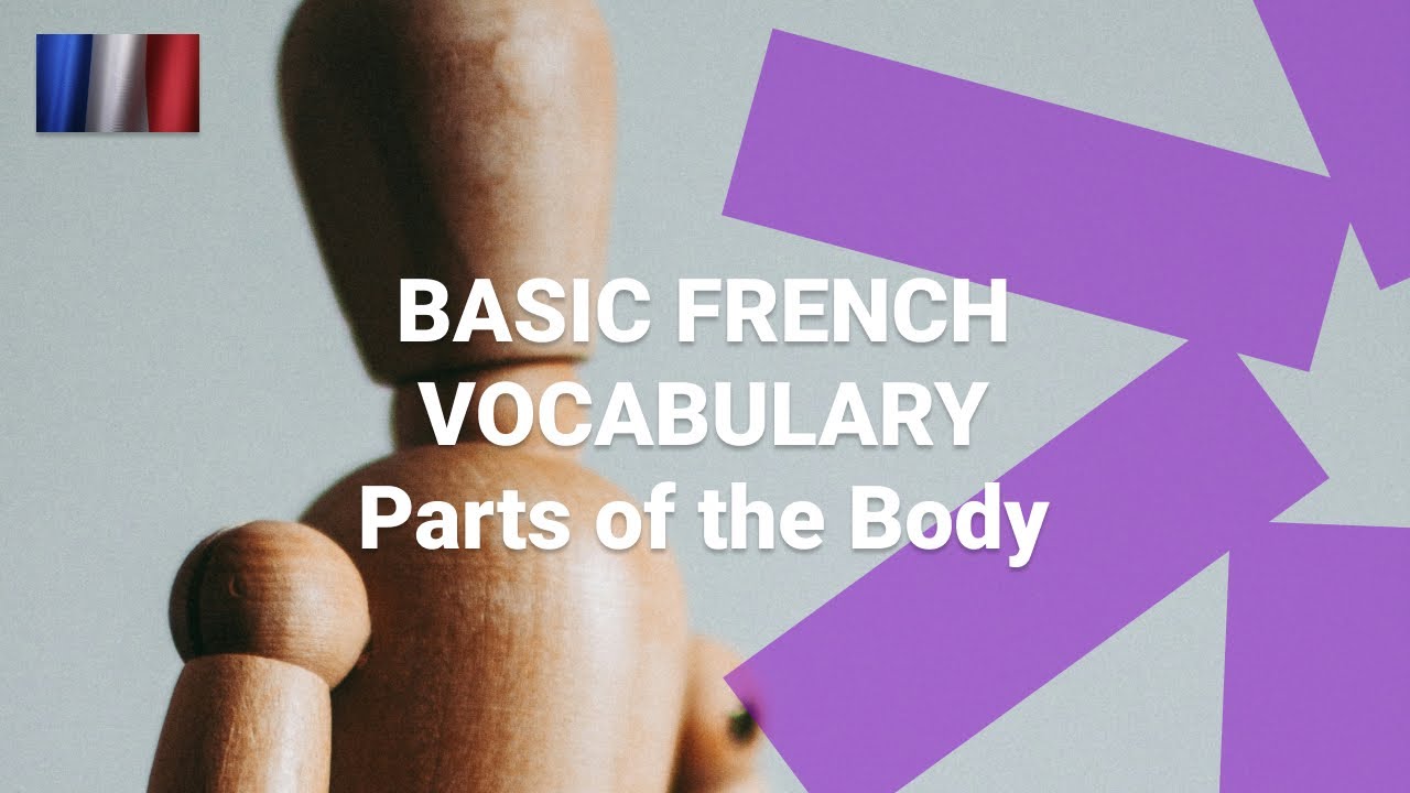 Basic French Vocabulary - What Are Parts of the Body Called in French ...