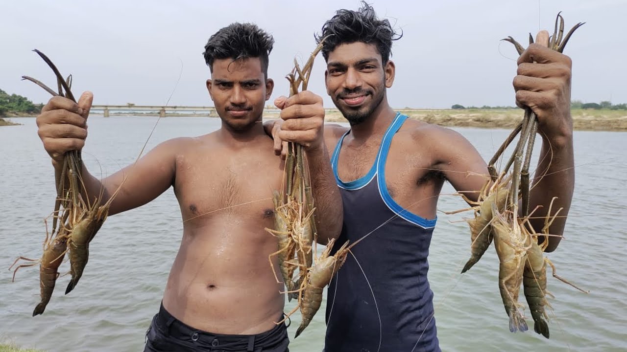 Amazing Big Shrimp Fish Catch Under River Water! Boy Prawn Fishing ...