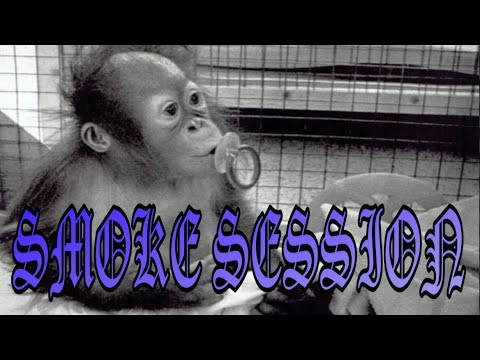 Smoke Session: Who is Pro Wrestling Reality? - YouTube