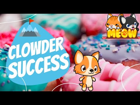 Clowder Success || Meow Playground - YouTube