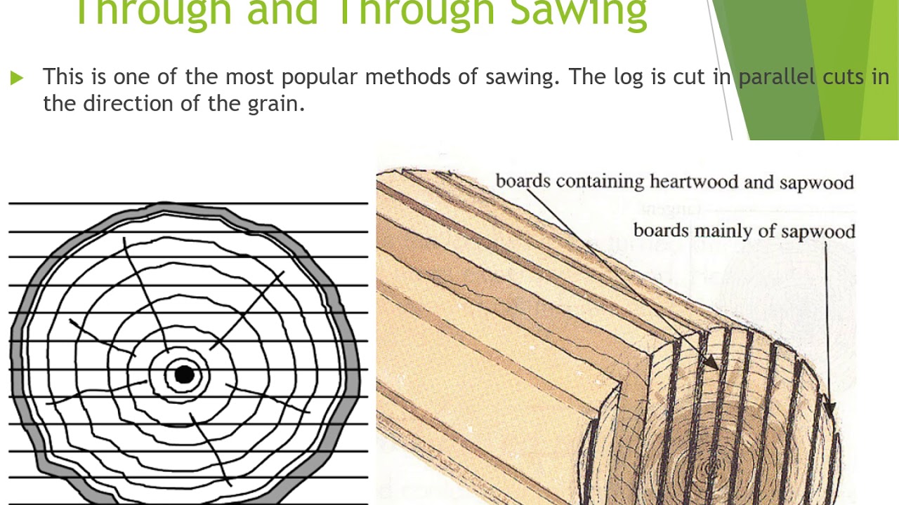 Wood Technology Tree Conversion - Castleisland CC - Mr. Joy - YouTube