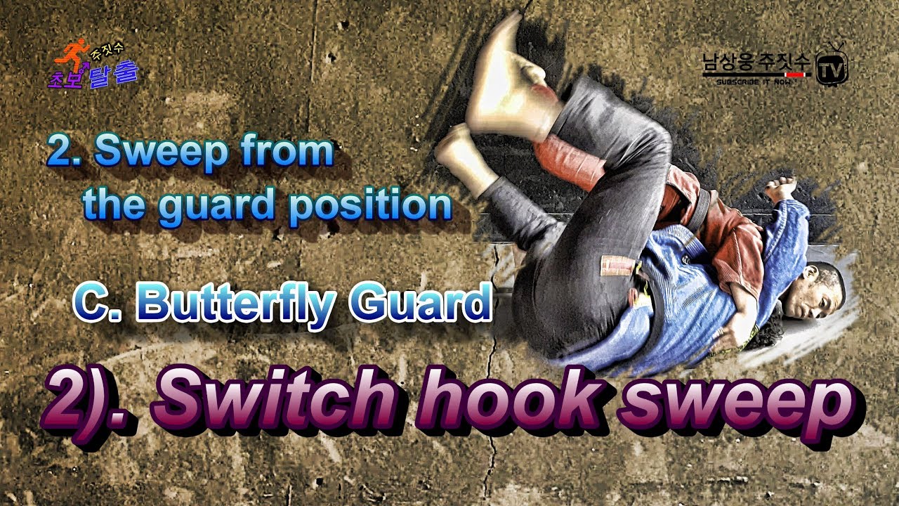 [주짓수] 버터플라이 가드 스위치 훅 스윕 - Butterfly Guard Switch hook sweep (Jiu jitsu ...