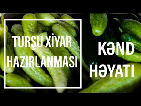 Kənd Həyatı. TURŞU XİYAR HAZIRLANMASI