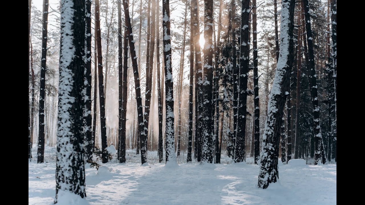 Peaceful Christmas Music // Crackling Fire // Relaxing Holiday Ambient ...