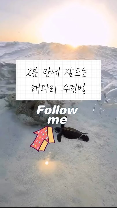 2분 만에 잠드는 해파리 수면법 잠이보약 긍정의힘 긍정확언 단주 새삶 회복 재생 믿음 성장 성공 감사 성골비결은단주 Youtube