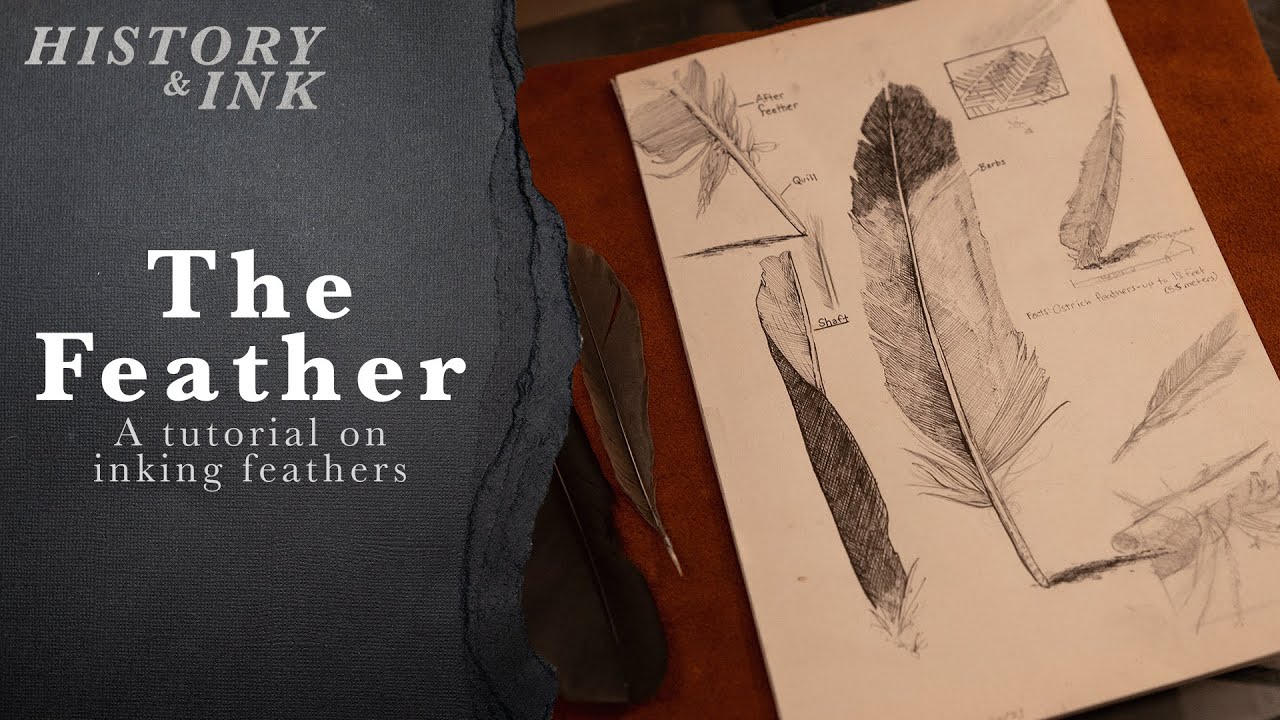 Unlocking the Secrets of Feathers: Drawing in Ink! ️🪶 - YouTube