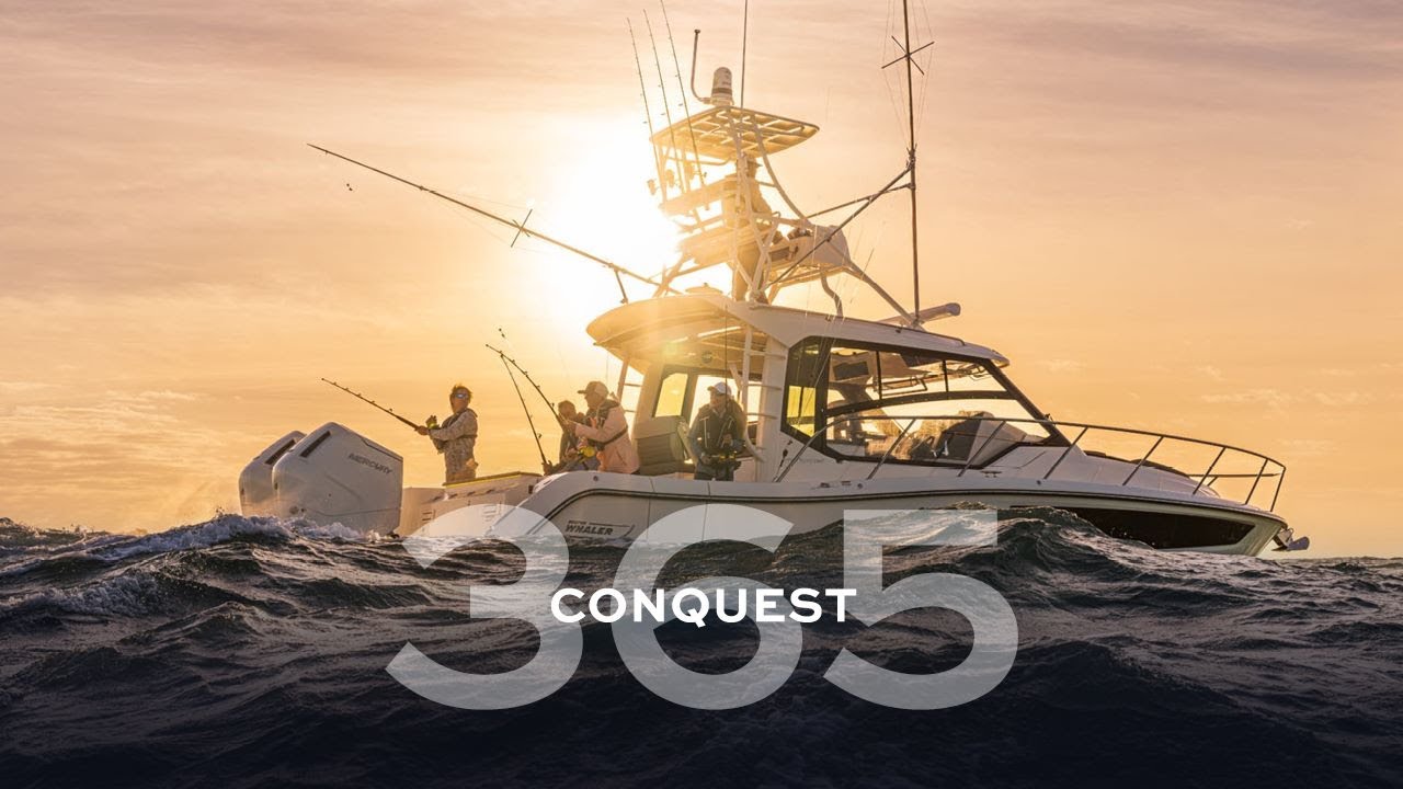 365 Conquest Launch Video | Conquest Model Family | Boston Whaler - YouTube
