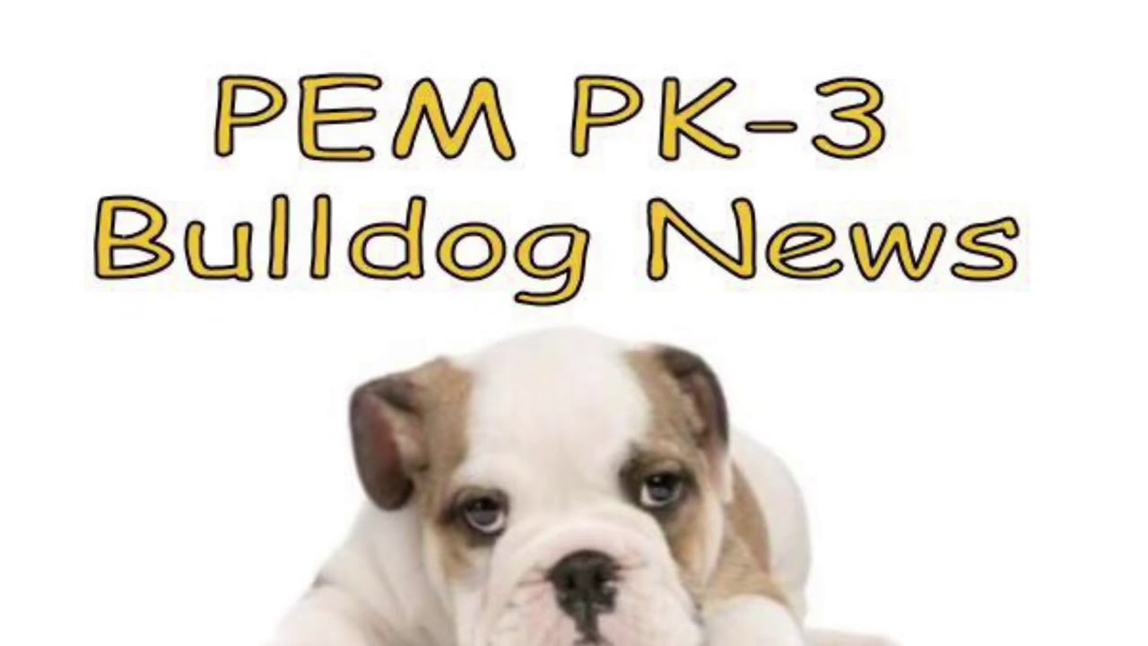 2019-09-06 PEM PK-3 Bulldog News - YouTube