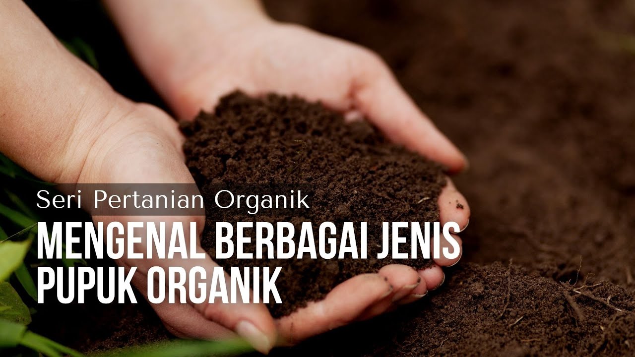 Mengenal Berbagai Jenis Pupuk Organik Cair dan Padat - YouTube