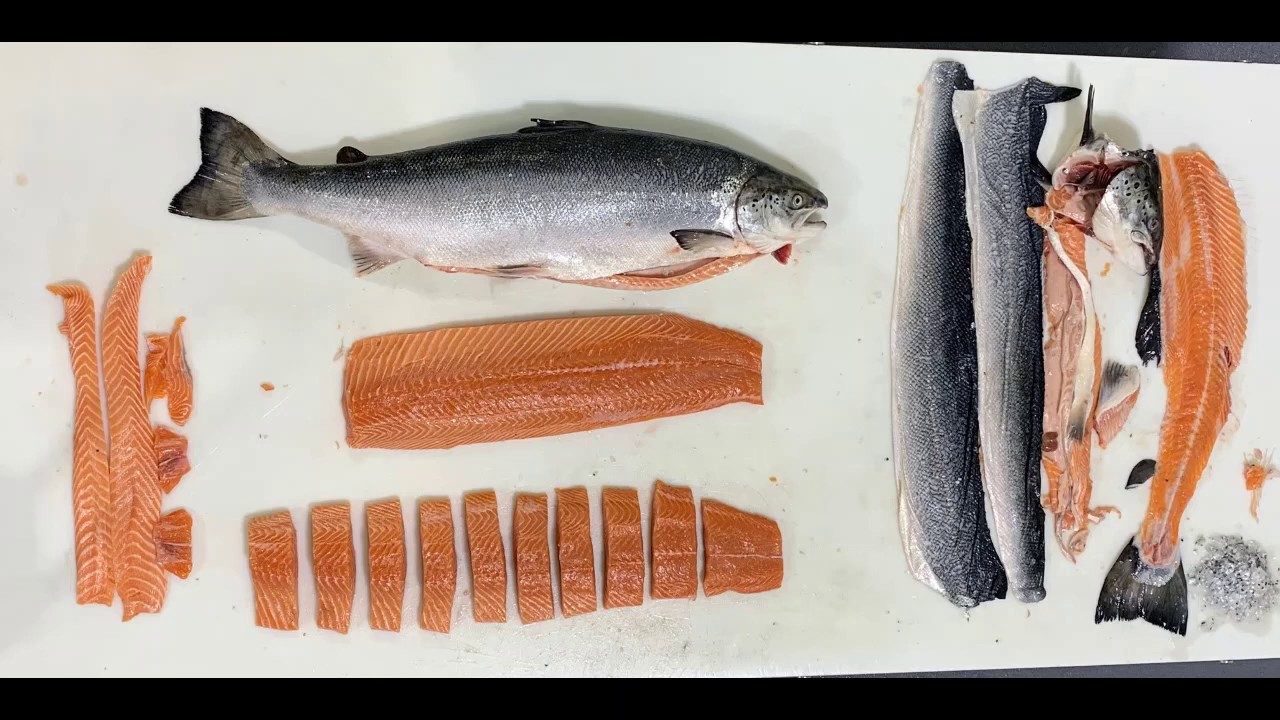 Salmon Portion video from whole fish - YouTube