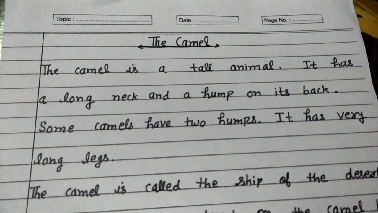 The camel paragraph writting in English in educational channel by ...