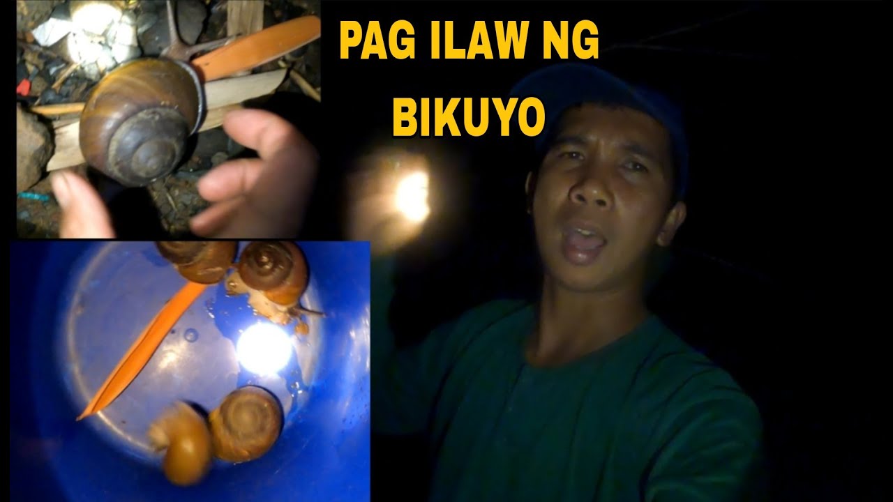PAG ILAW NG BIKUYO SA TAPAHAN NG NIYOG - YouTube