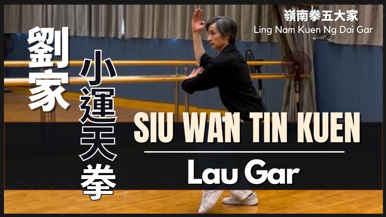 Lau Gar - Siu Wan Tin Kuen (Ling Nam Kuen Ng Dai Gar) 劉家 - 小運天拳 (嶺南拳五大 ...