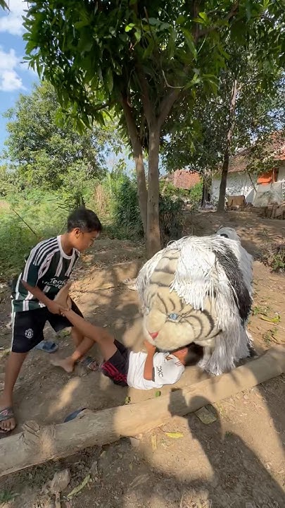 Bocil ff dimakan can macanan - YouTube