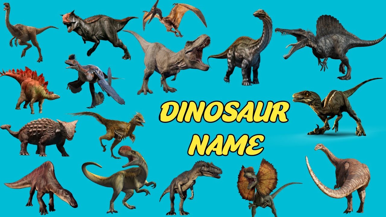 Types Of Dinosaur Dinosaur Name In English With Pictures Dinosaur types-of-dinosaur-dinosaur-name-in-english-with-pictures-dinosaur