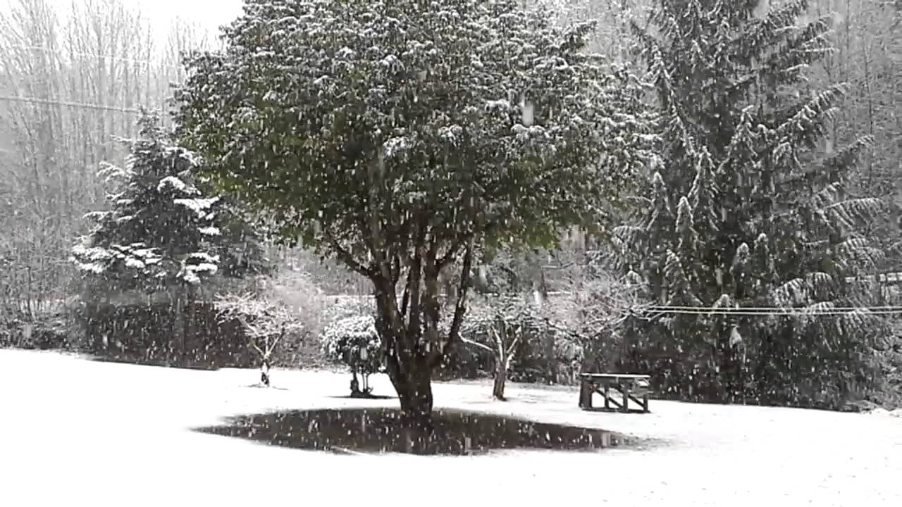 Nanaimo 1st snow 2015 - YouTube