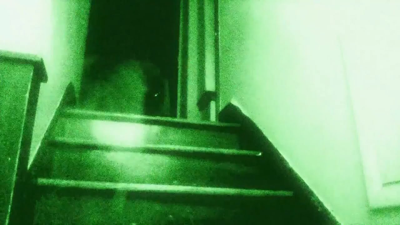 Ghost Dog caught on Night Vision Camera - YouTube