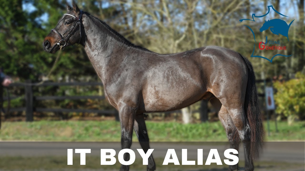 IT BOY ALIAS - Programme Jeune Génétique - YouTube