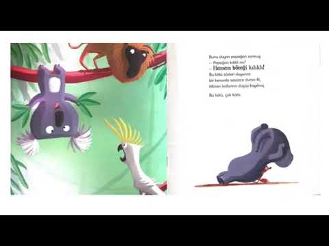 Kötü sözler söyleyen koala