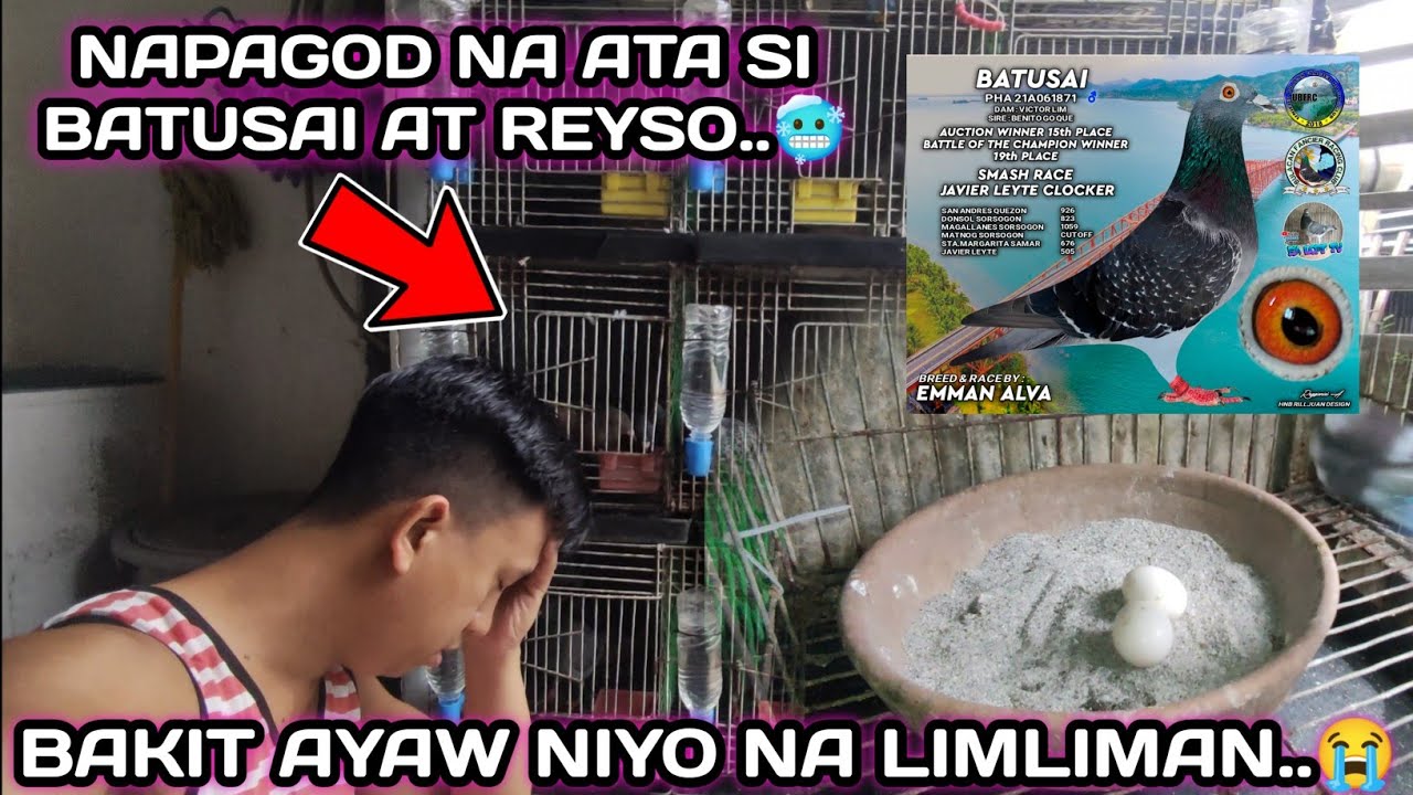 BAKIT AYAW NIYO NA LIMLIMAN..😭 | NAPAGOD NA ATA SI BATUSAI AT REYSO..🥶 ...