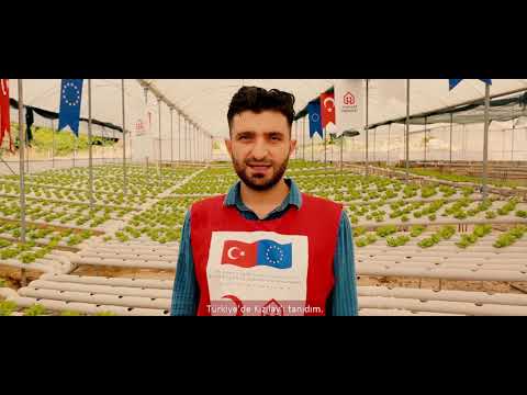Topraksız Tarım Eğitimi - (hidroponik tarım) - Mersin TM