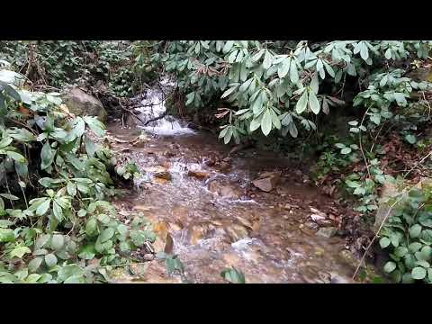 Doğa içinde sakinleştirici ve huzur verici su sesi