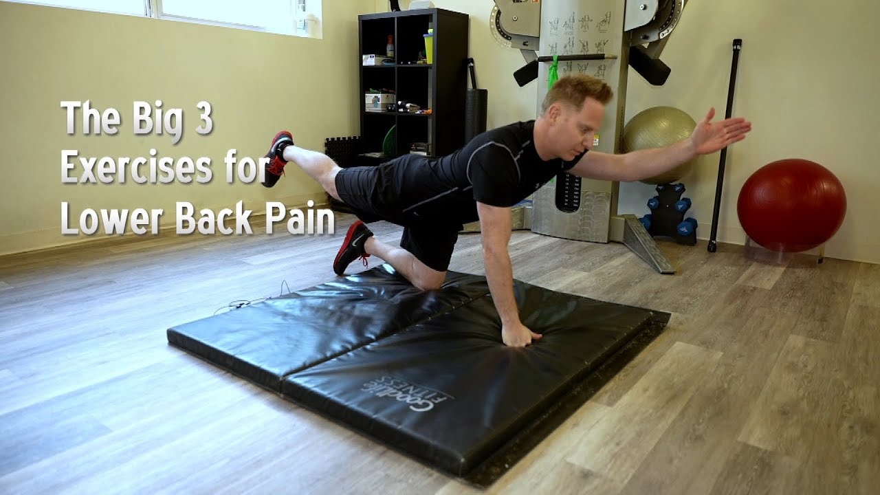 The Best Exercises for Lower Back Pain - The Big 3 - Toronto ...