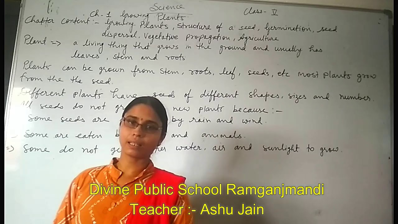 Class 5 Science Chapter 1Growing Plants Description YouTube class-5-science-chapter-1growing-plants-description-youtube