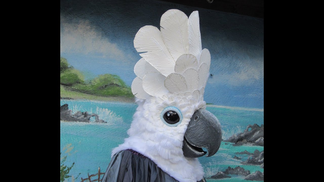 Cockatoo costume with animated head crest - YouTube