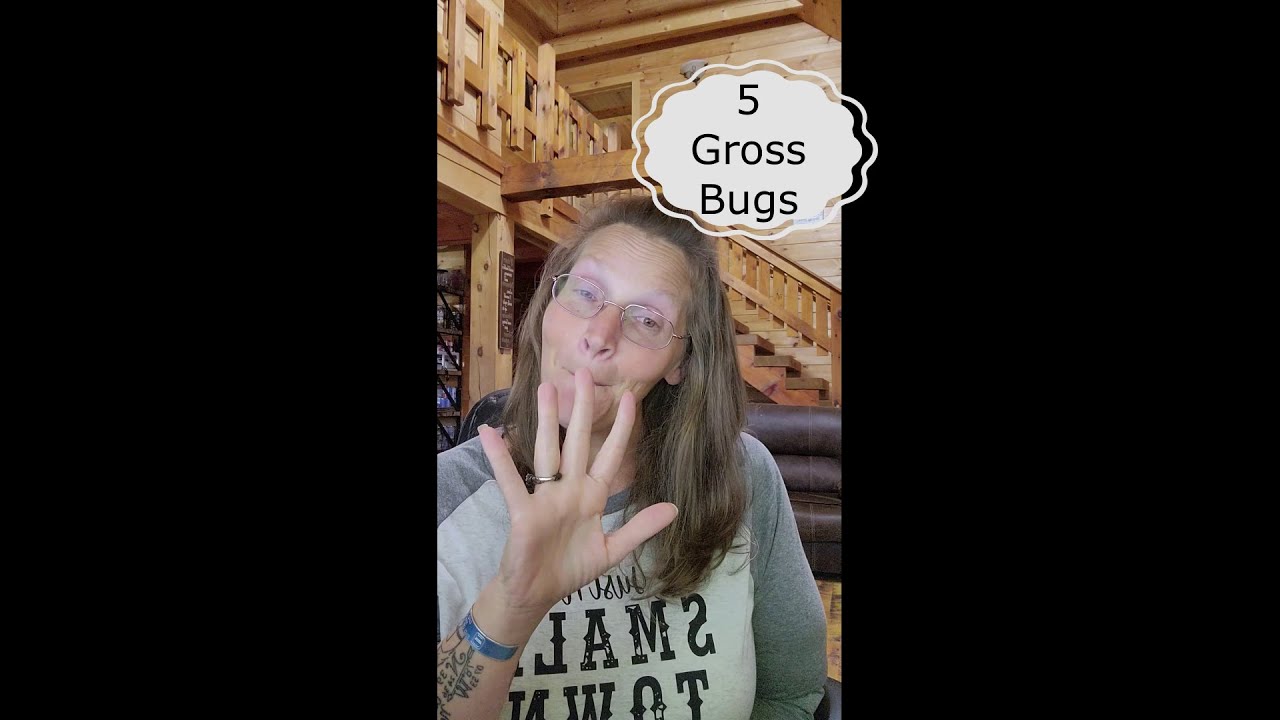 5 Gross Bugs to learn about to have a successful garden - YouTube