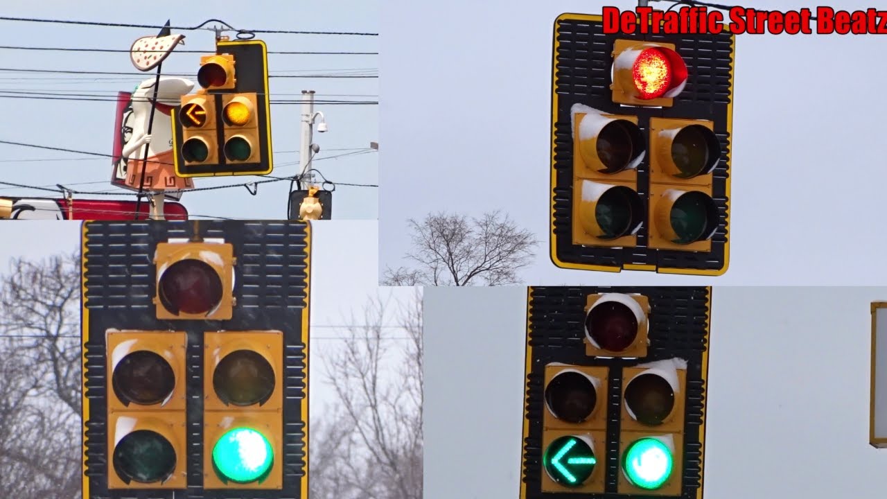 Double Dog House Traffic Lights Anyone Own These Two Dogs? No Collars