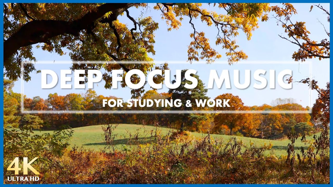Focus Music for Studying & Work: Ambient Study Music, Work Music ...
