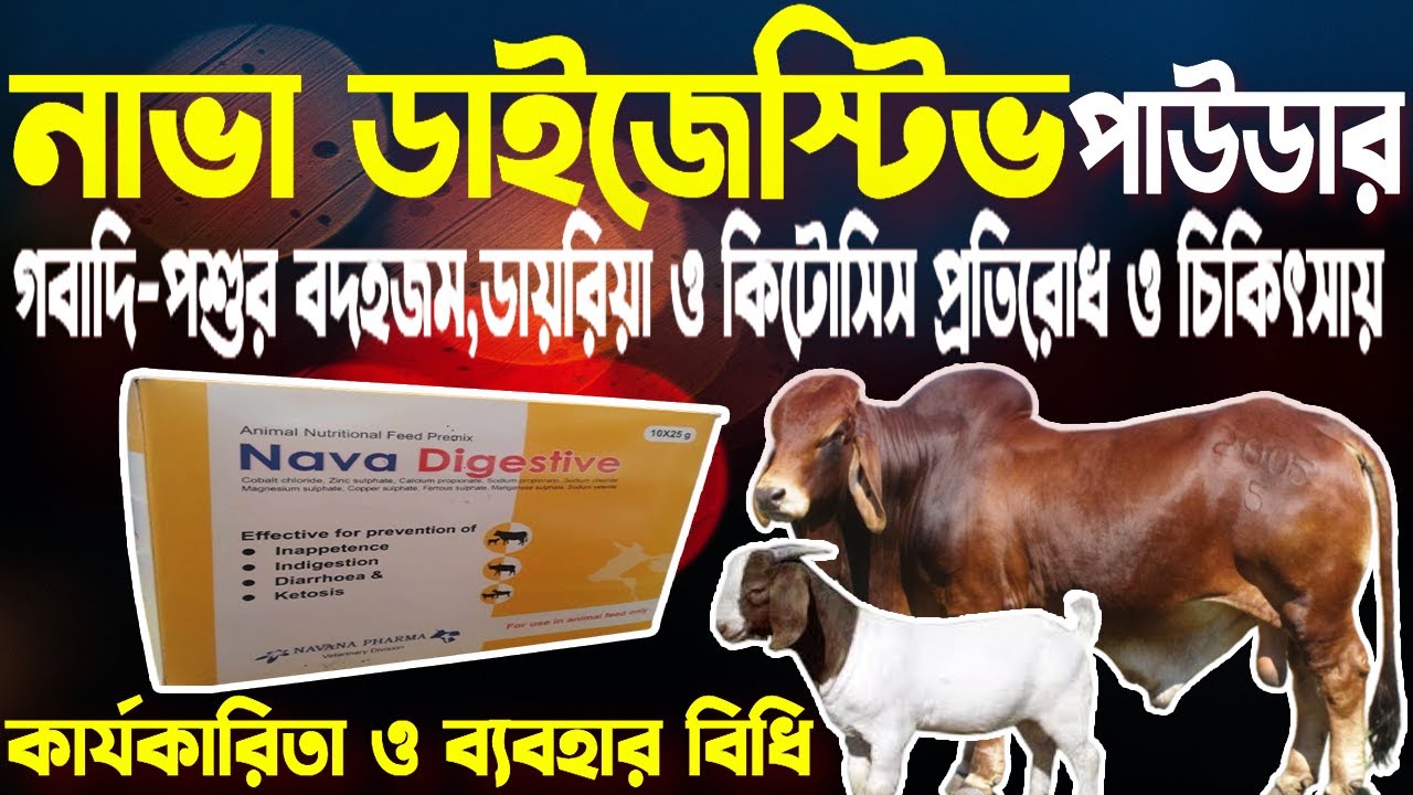 Nava Digestive Vet |গবাদিপশুর ক্ষুধামন্দা,বদহজম,ডায়রিয়া ও কিটোসিস রোগ ...