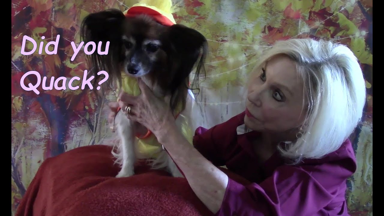 Duddle Puck the Puddle Duck - YouTube